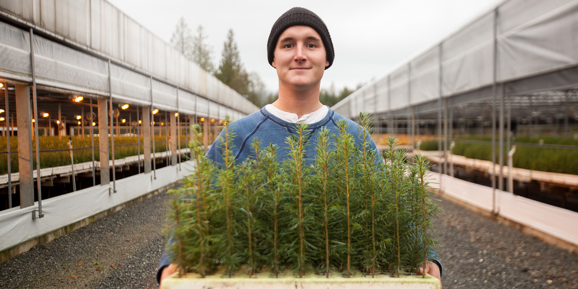 Home - Forestry Friendly Communities